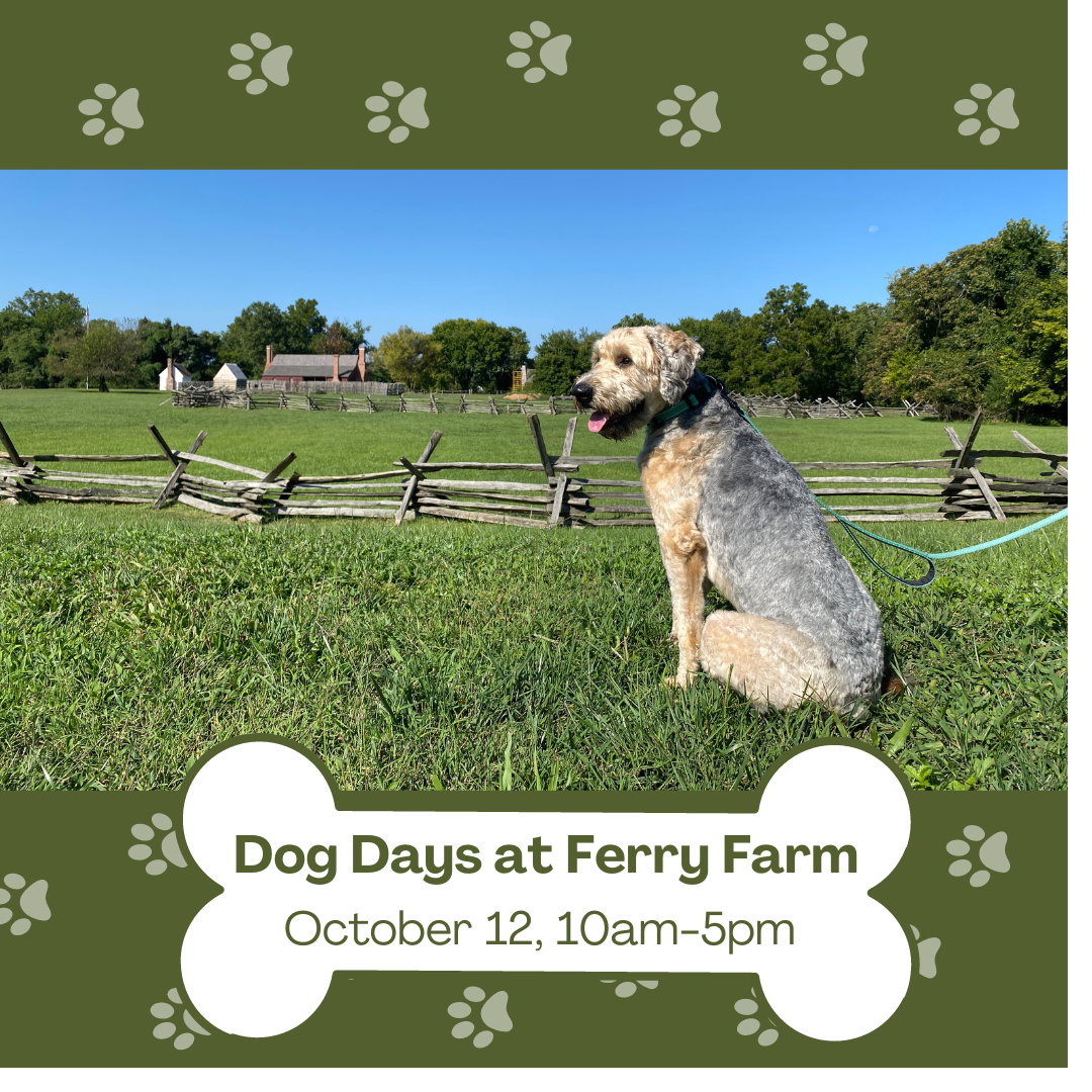 Dog Days at Ferry Farm - Tour Stafford Virginia