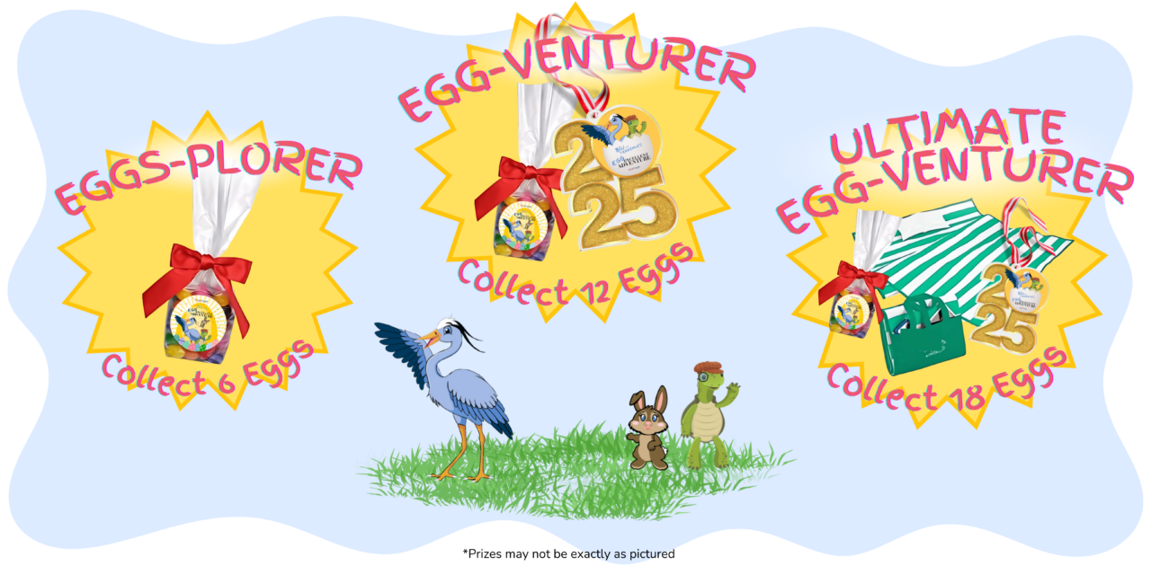 EggcellentEggventure - Tour Stafford Virginia