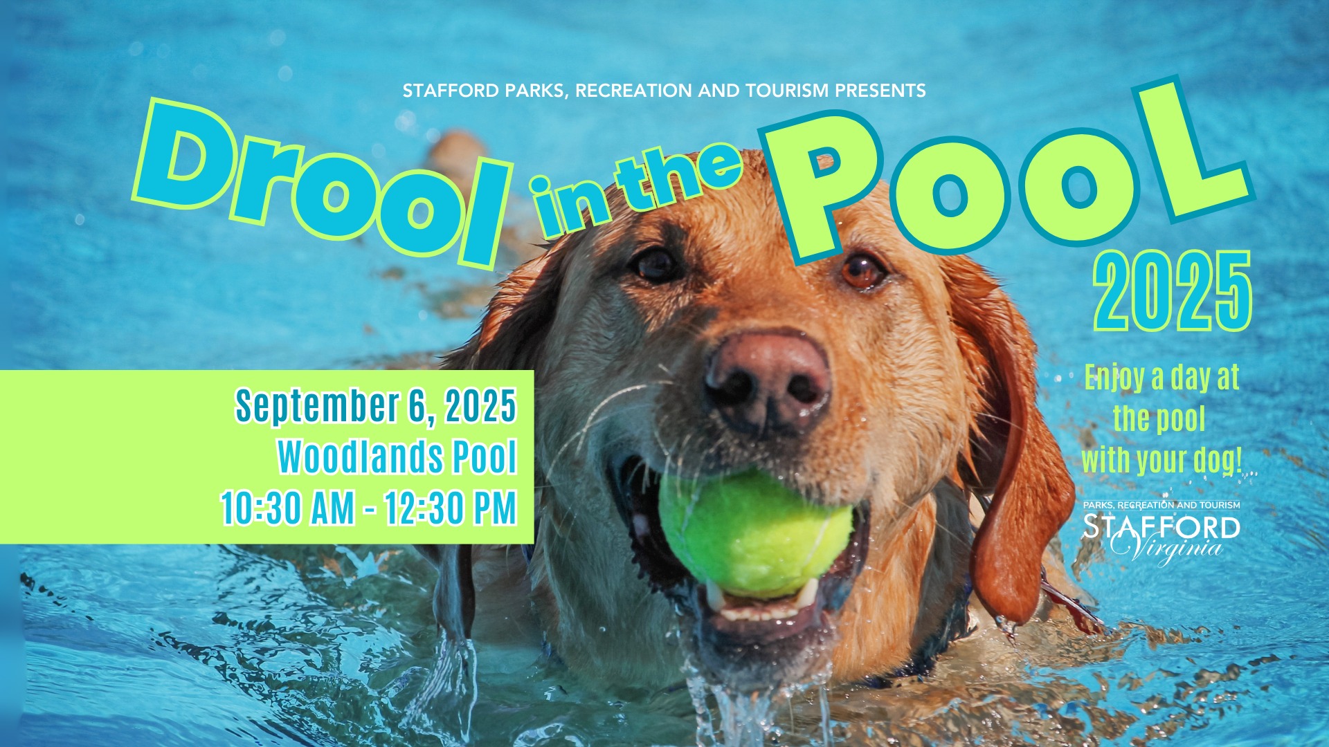 Drool in the Pool - Tour Stafford Virginia